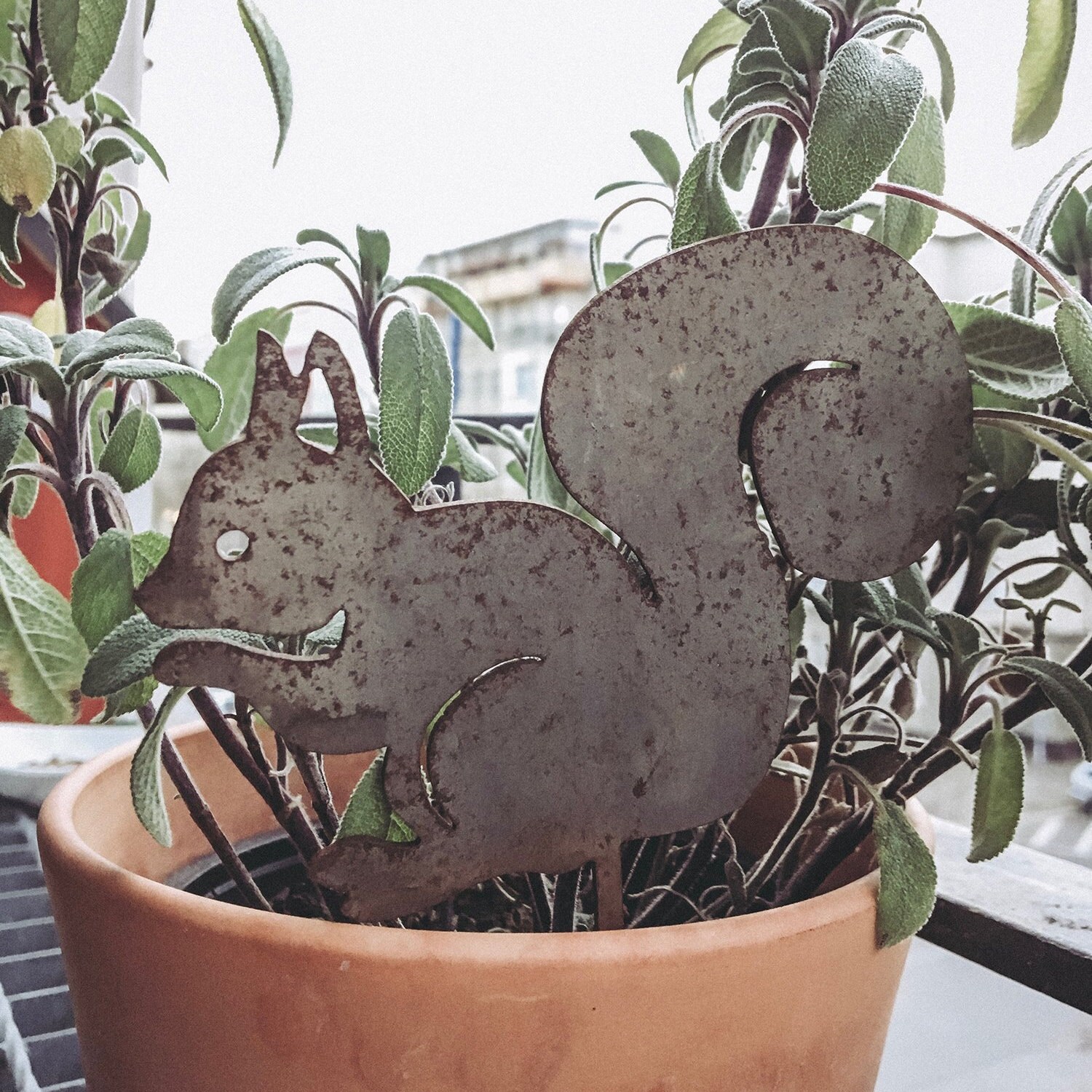 Squirrel Made of Steel, Animal Plugs, Patina, Garden, Garden Plugs ...