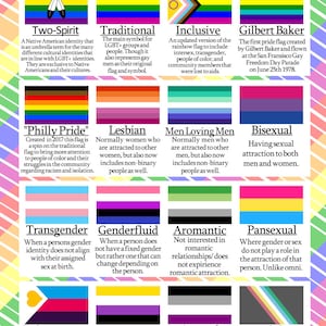 Lgbt+ Pride Guide Poster - Etsy