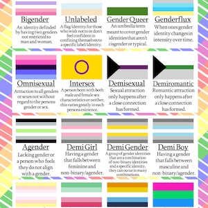Lgbt+ Pride Guide Poster - Etsy