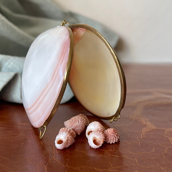 Shell Box - Etsy