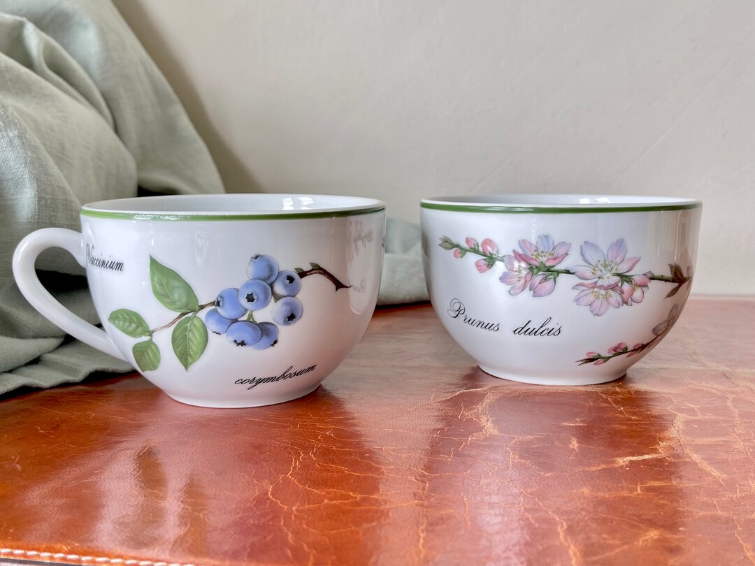 Vintage Apilco France Elysian Garden Cups Set or 2 Extra Large 18OZ ...