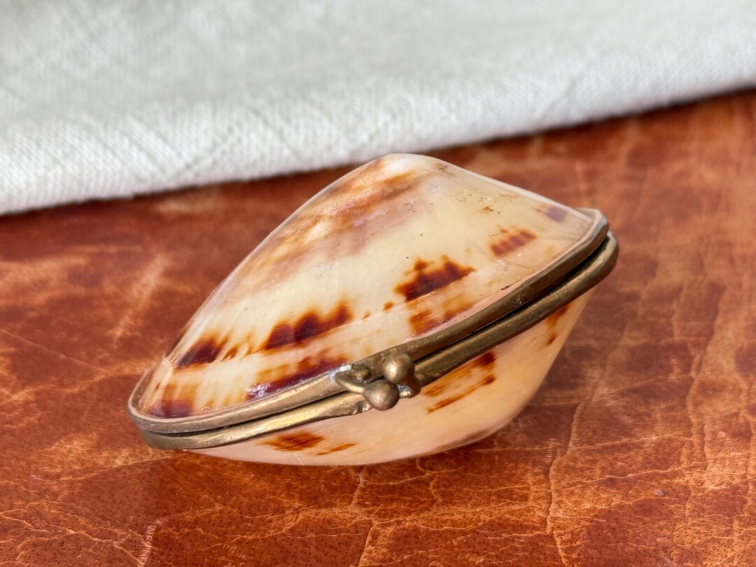 Vintage Shell Trinket Box Brass Trimmed and Hinged Handmade Clam Shell ...