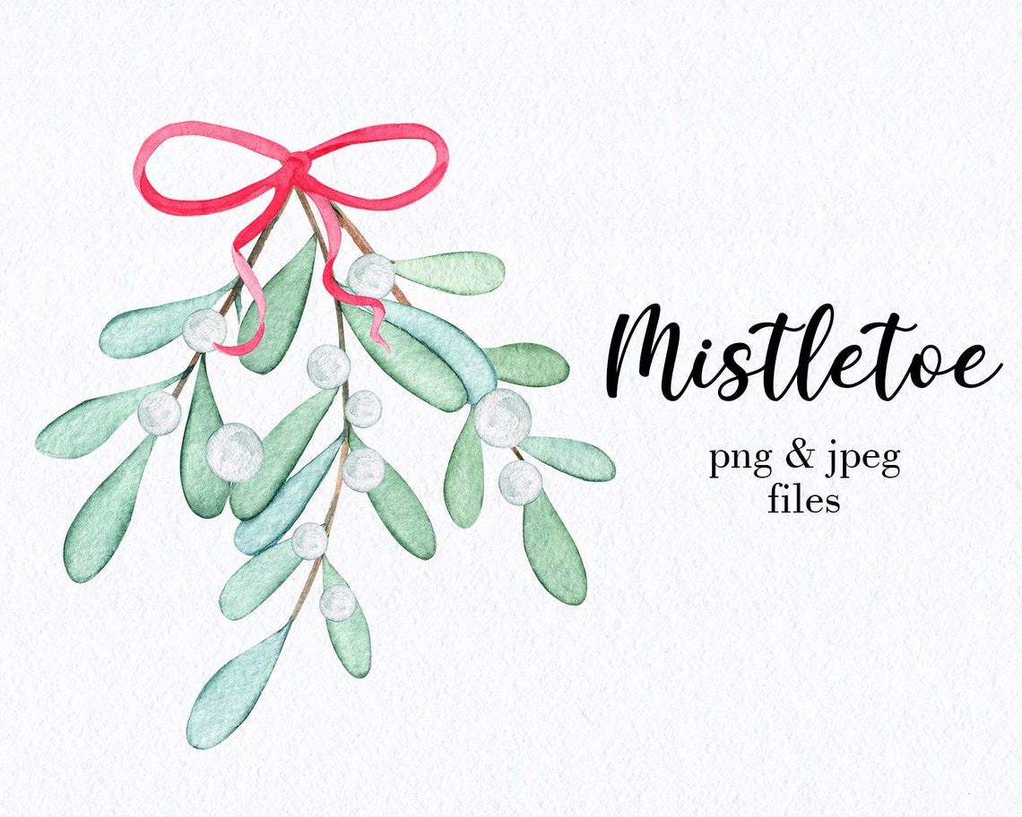 Mistletoe Watercolor Clipart Christmas Greenery Png Winter | Etsy