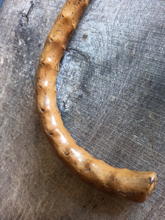 Vintage walking stick. Walking stick. Steampunk fashi… - Gem