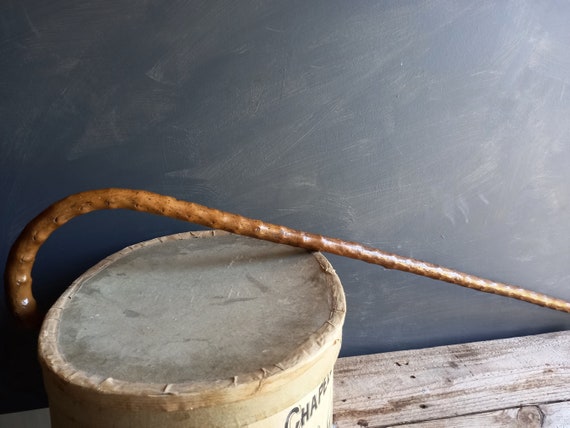 Vintage walking stick. Walking stick. Steampunk fashi… - Gem