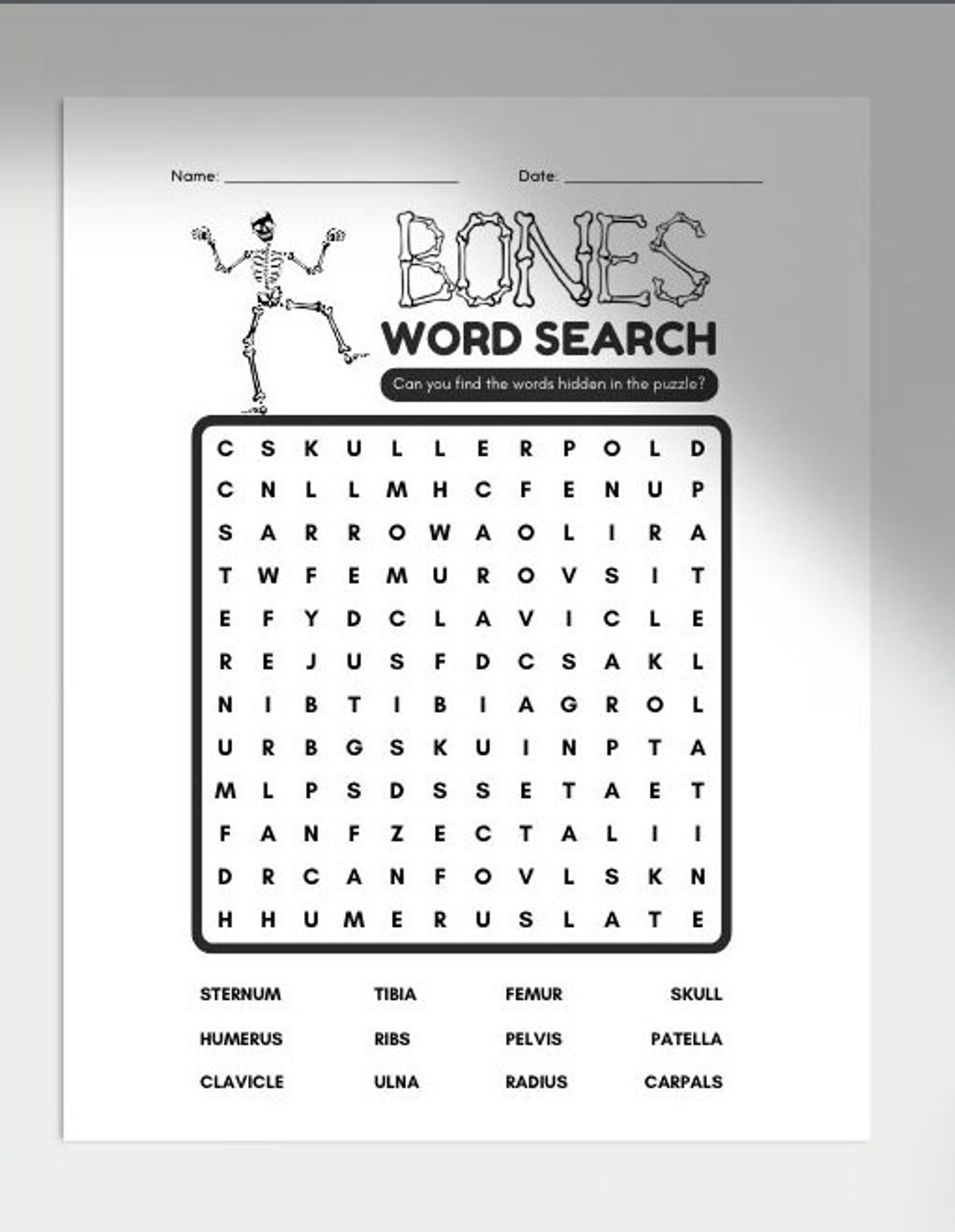 Printable Skeletal System Worksheets,anatomy Worksheet,homeschool ...