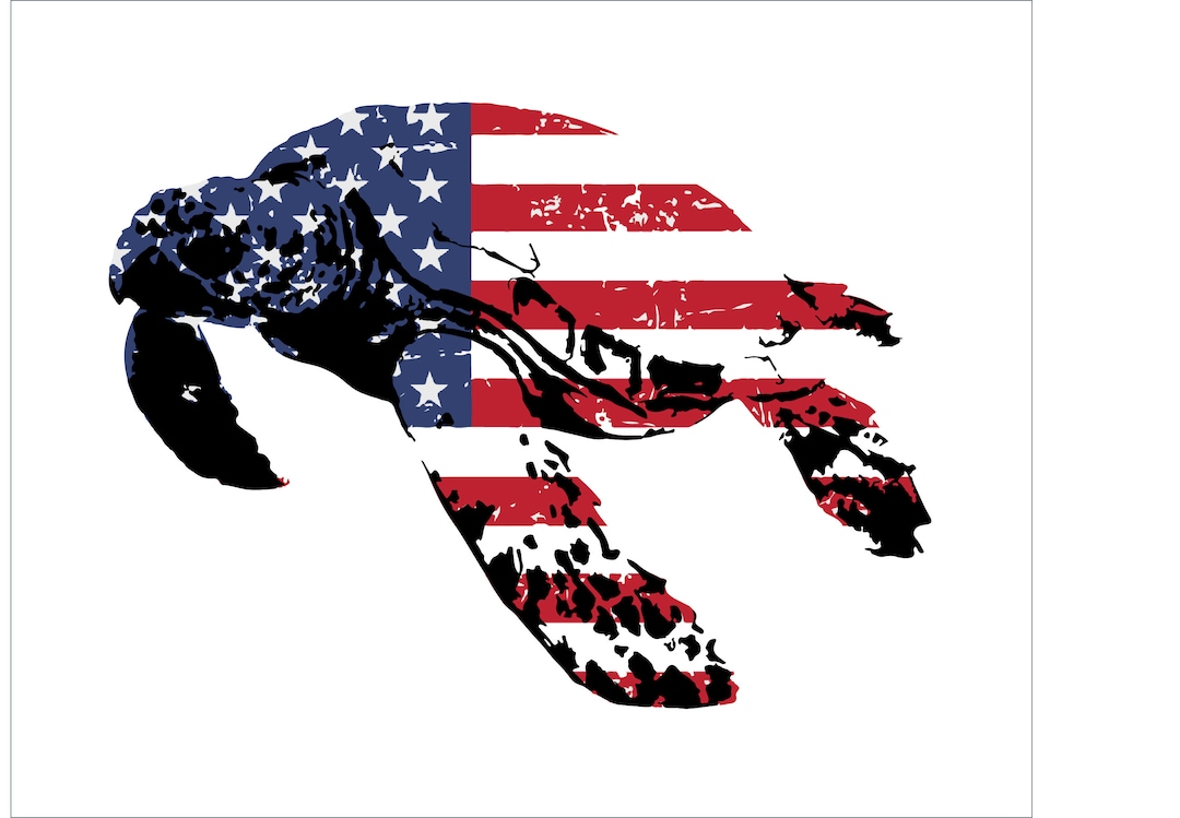Turtle American Flag PNG SVG, American Independence Day Design, Turtle ...