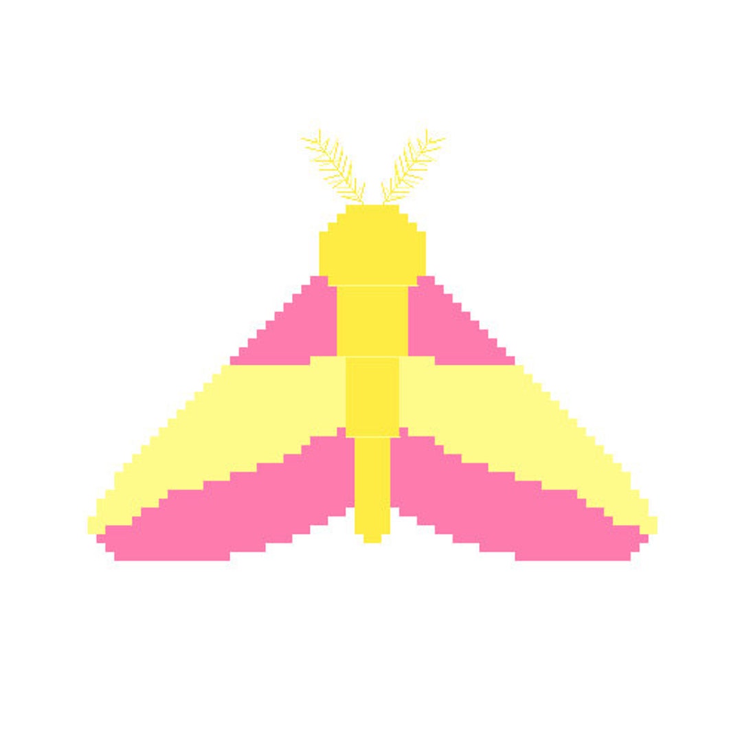 Rosy Maple Moth Cross Stitch Pattern - Moth Bug Insect Art Butterfly ...
