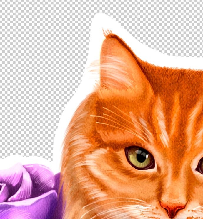 Cat Clipart Ginger Cat Png Flowers Clipart Camera Png Pet Graphics Pet ...