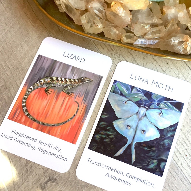 Wildlife Wisdom Oracle Deck - Etsy