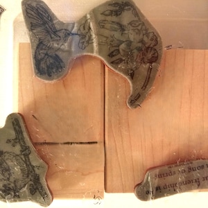 Hummingbird Stamp, Spring Song Stampin' up Retired Stamp, Converted ...