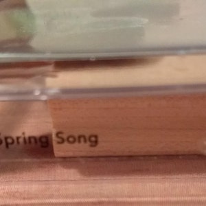 Hummingbird Stamp, Spring Song Stampin' up Retired Stamp, Converted ...