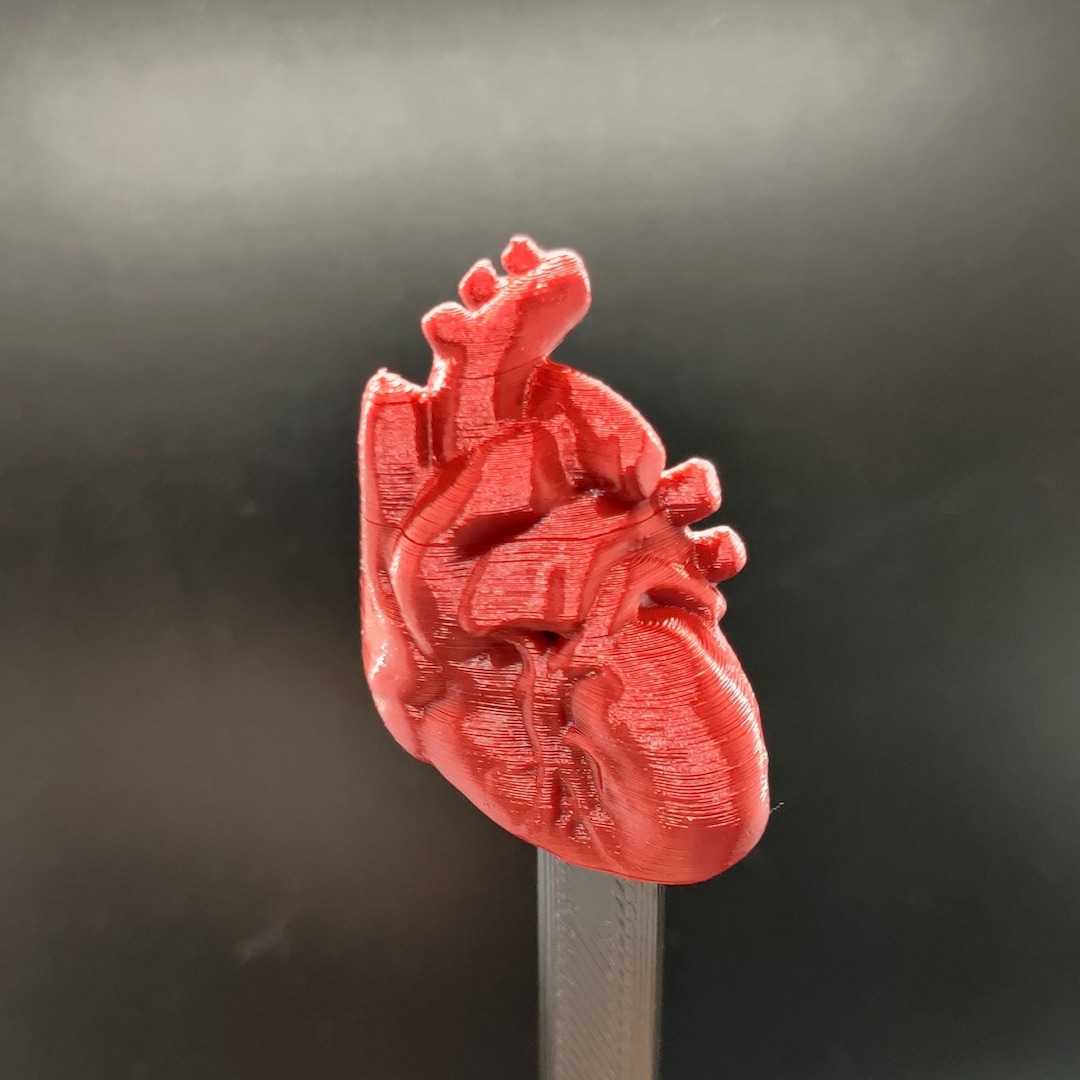 Custom Anatomical Heart Bookmark - 3D Printed, Personalized Colors - Etsy