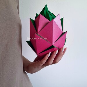 Dragon Fruits SET Pitahaya Pitaya Low Poly Papercraft Fruit Food PDF ...