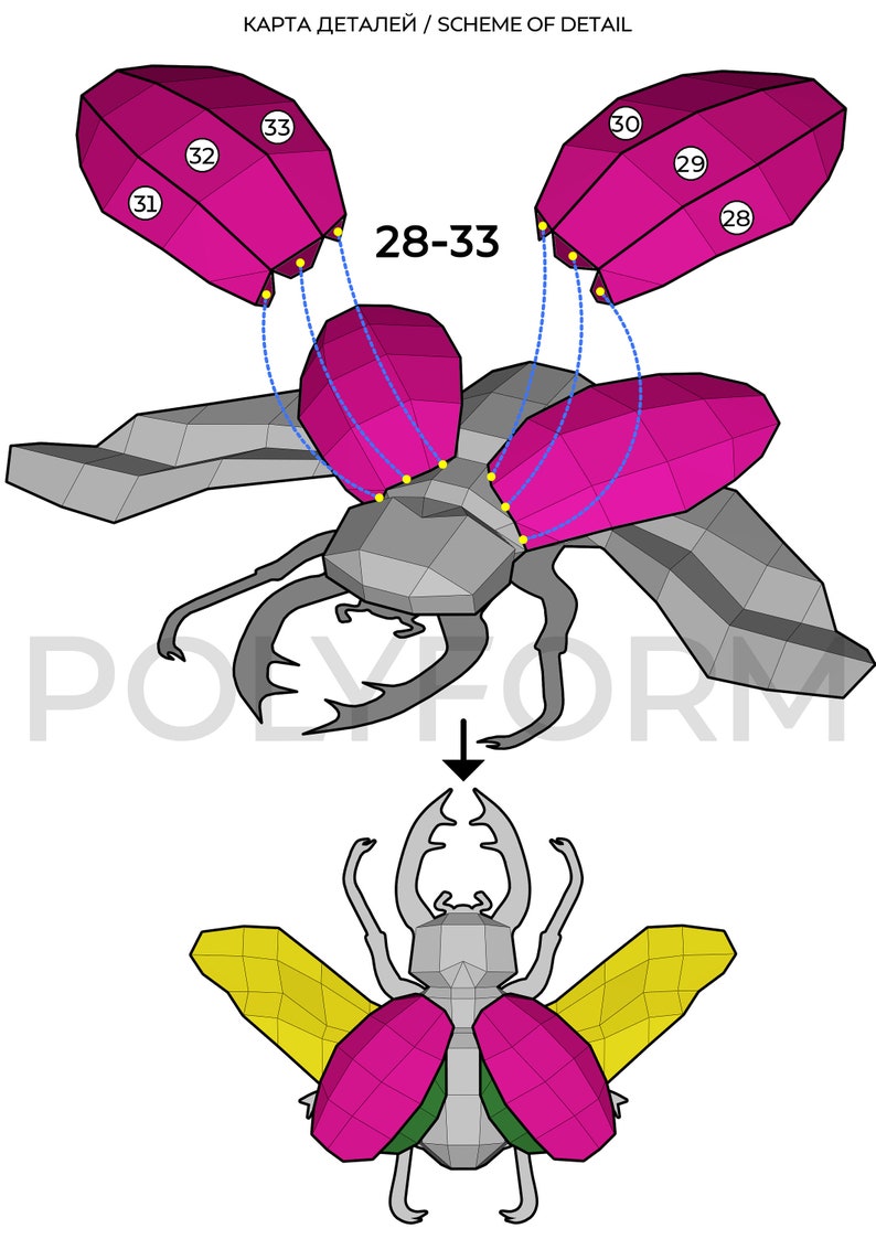Stag Beetle Low Poly Insect Papercraft Fly Lowpoly PDF - Etsy