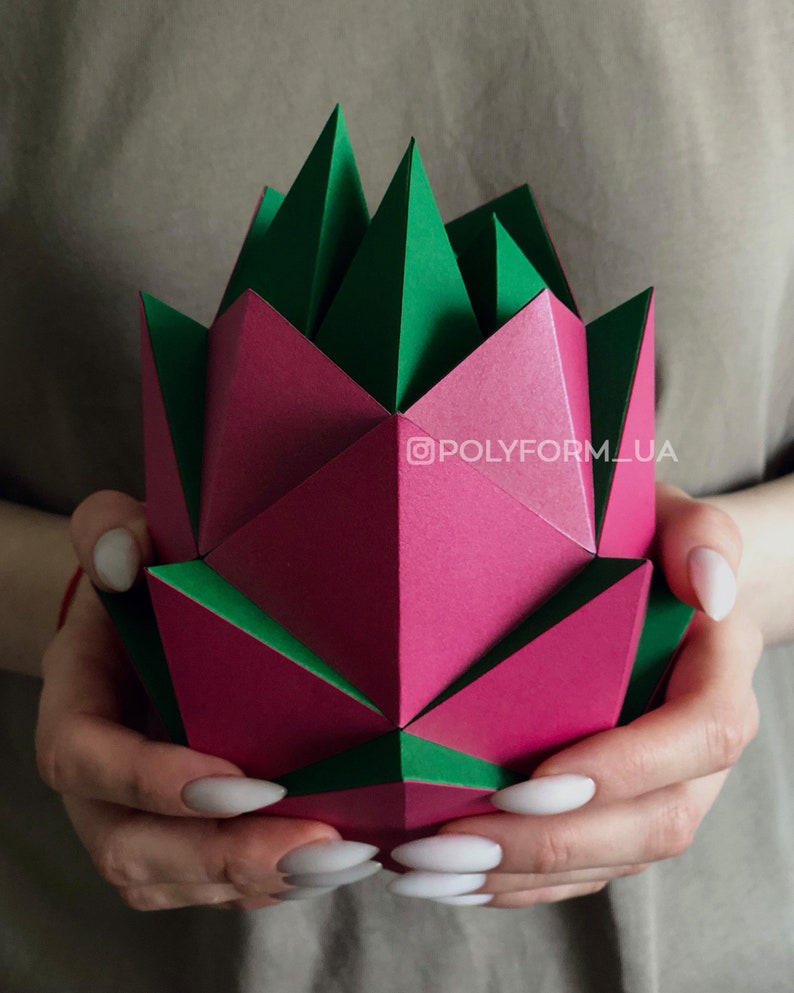 Dragon Fruits SET Pitahaya Pitaya Low Poly Papercraft Fruit Food PDF ...