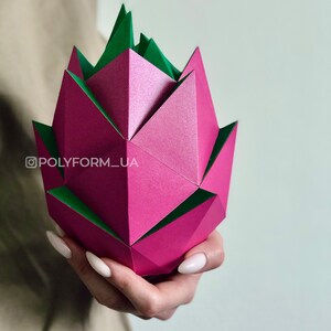 Dragon Fruits SET Pitahaya Pitaya Low Poly Papercraft Fruit Food PDF ...