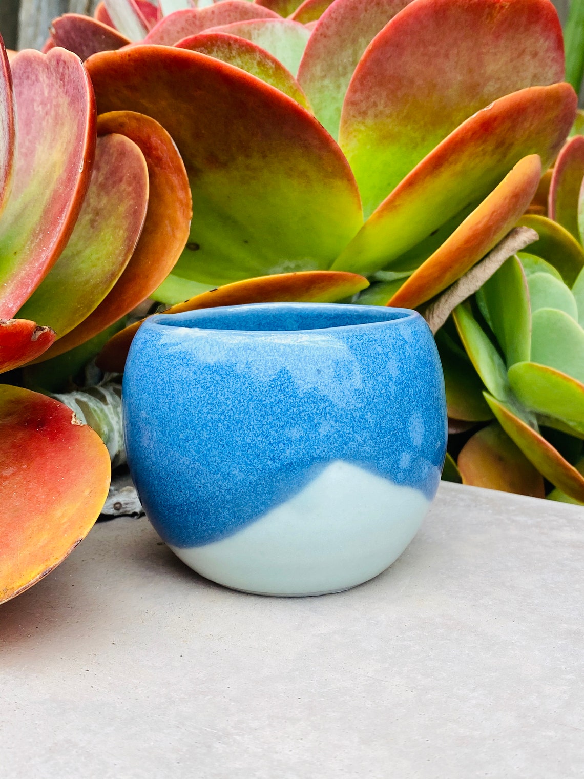 Blue Water Cup - Etsy