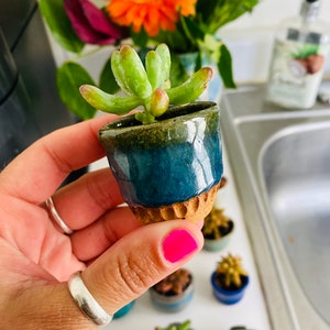 One Mini Magnet Pot - Fridge Magnet Planter - Etsy
