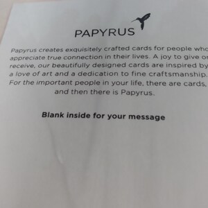 Papyrus Birthday Card Ice Cream Cone Blank Inside New Sealed Unopened 5 ...