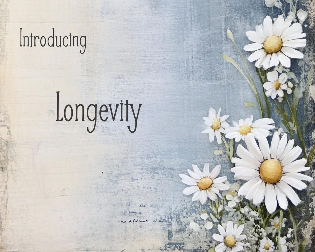 Longevity Display Font - Modern and Elegant Typeface for Branding ...