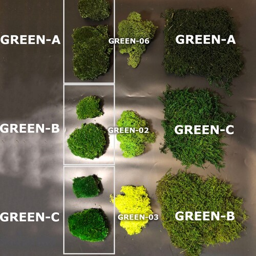 Super Fresh Assorted High Quality Moss Collected by Hand for | Etsy