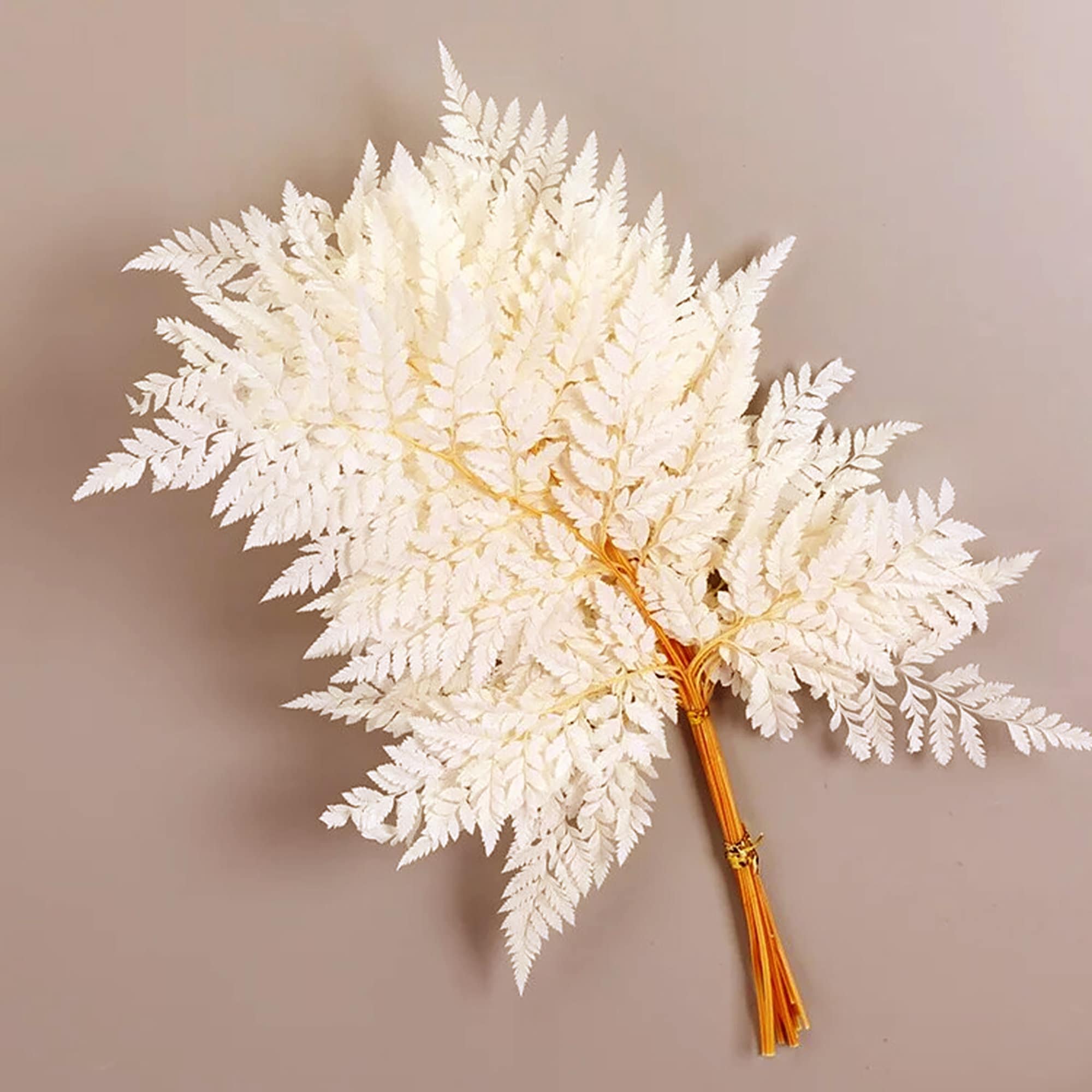 White Preserved Fern Stems, DIY Wedding Garland Decor (10 Stems) - Etsy