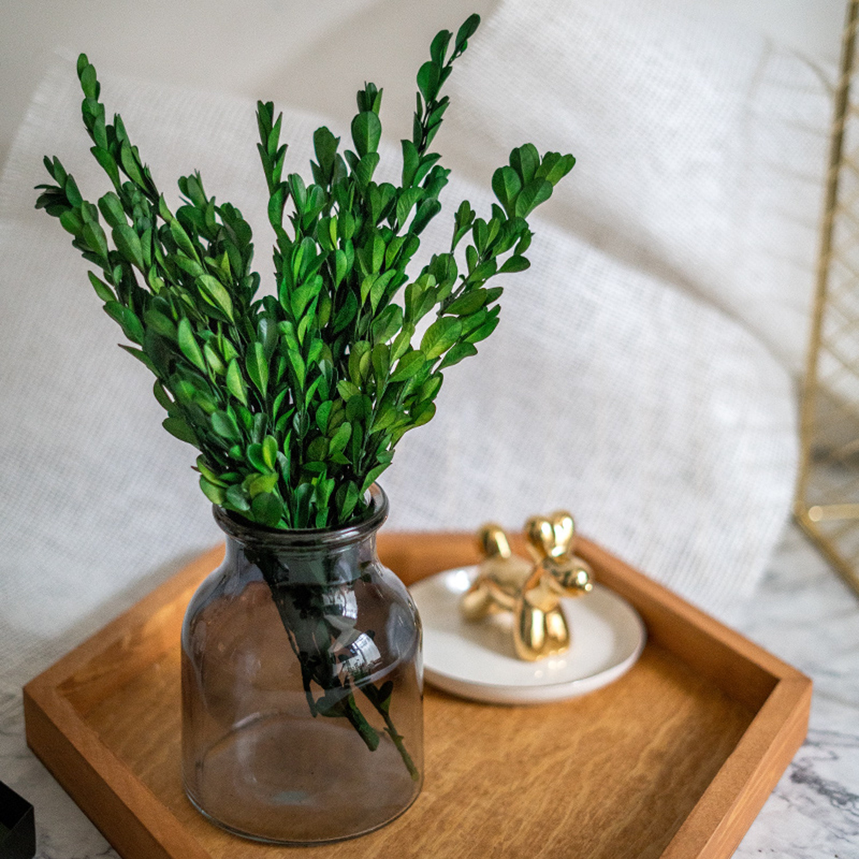 Preserved DIY Craftsstabilized Boxwood Leaves Tall Wedding - Etsy