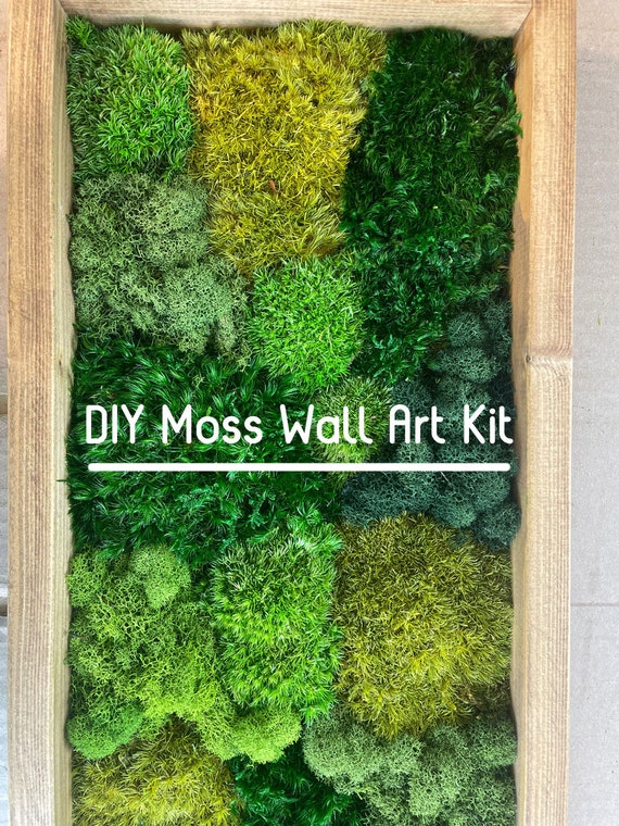 Diy Moss Sheets