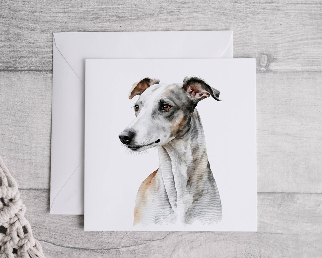 Whippet Birthday Card Stunning Whippet Greeting Card ,perfect for ...