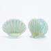 Riley Sea Shell Claw Clip High Quality Hair Clips - Etsy