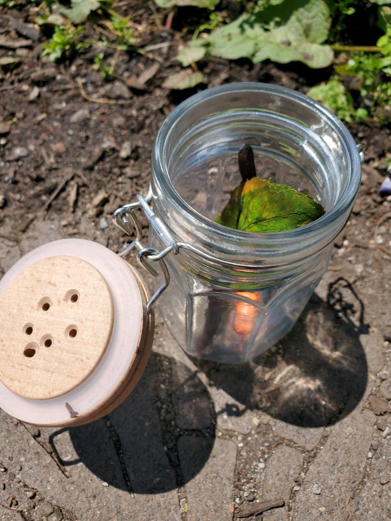 Trapped Collection - Garden Fairy in a Jar - Etsy