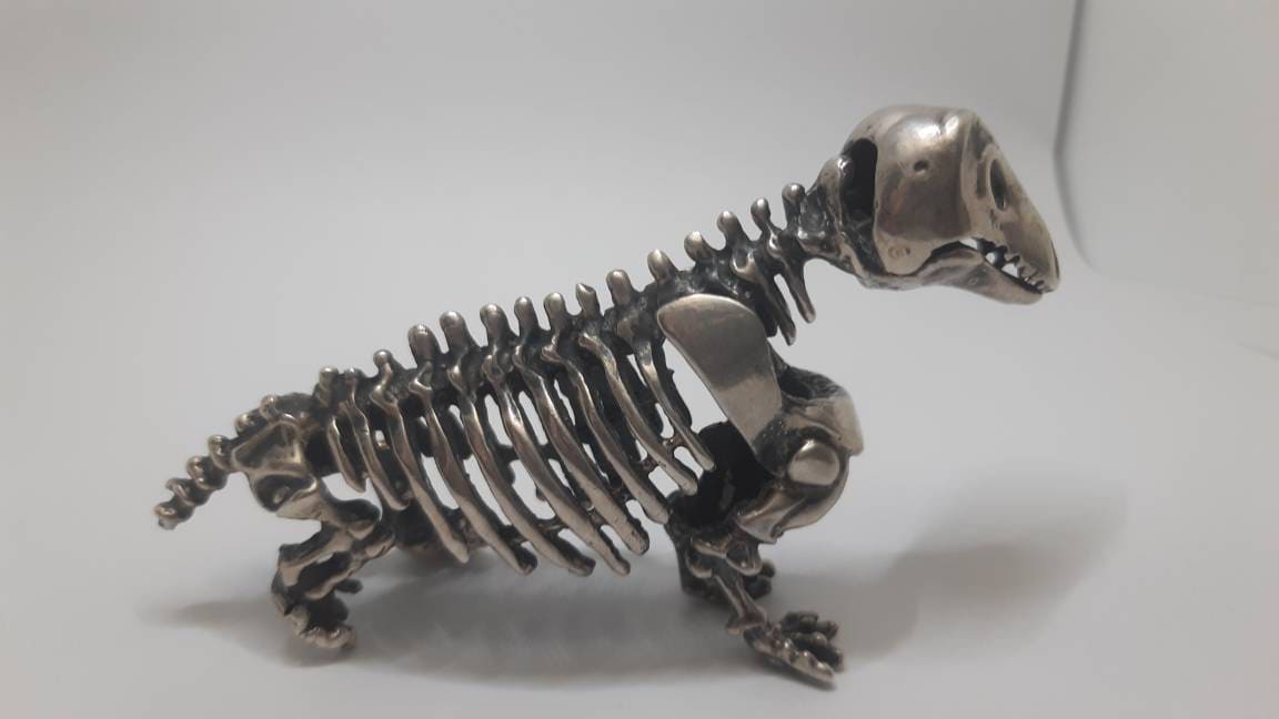 Rare Antique Solid Silver Dinosaur Skeleton Fossil Solid - Etsy
