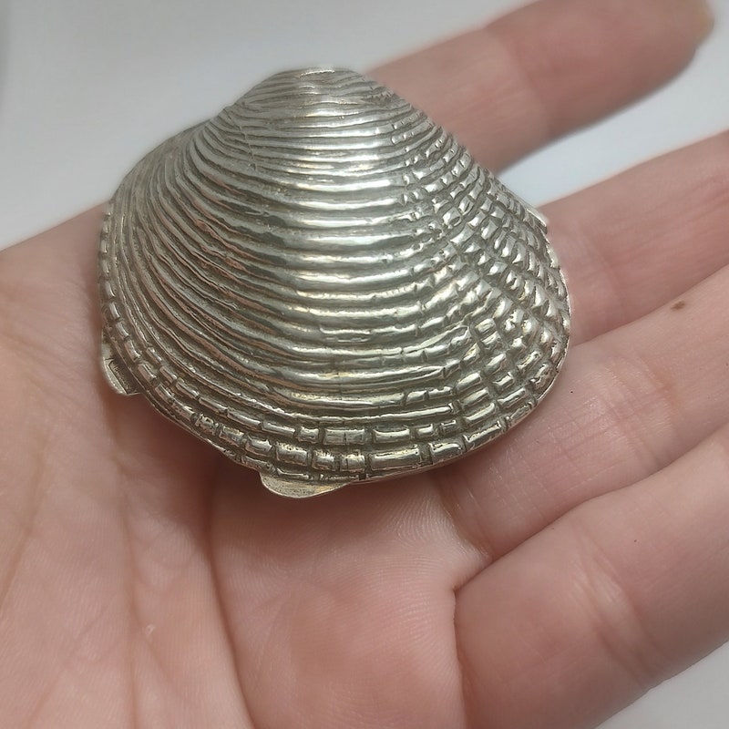 Shell Pill Box - Etsy