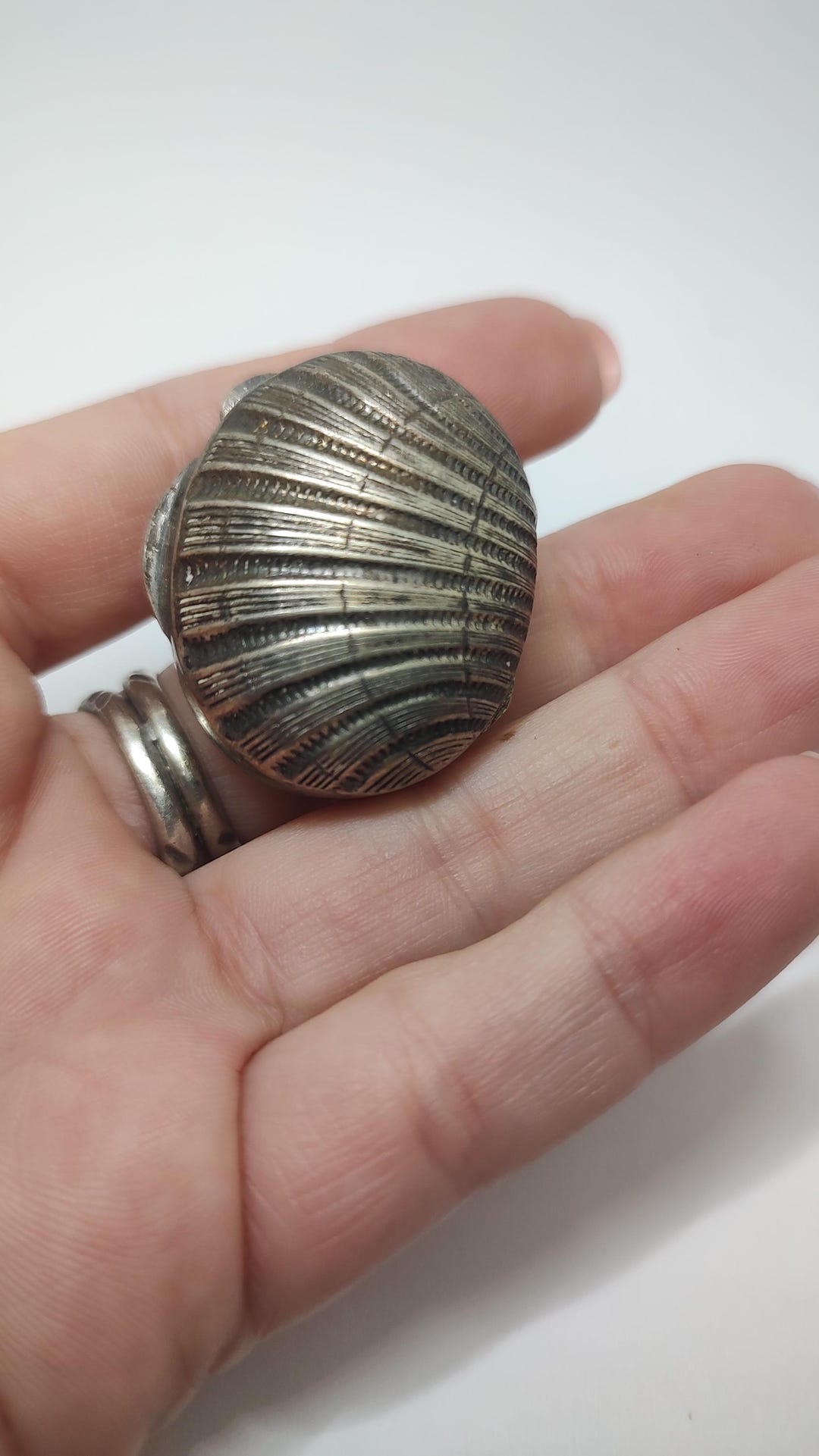 Antique 800 Silver Shell Shaped Pill Box / Small Trinket Box ...