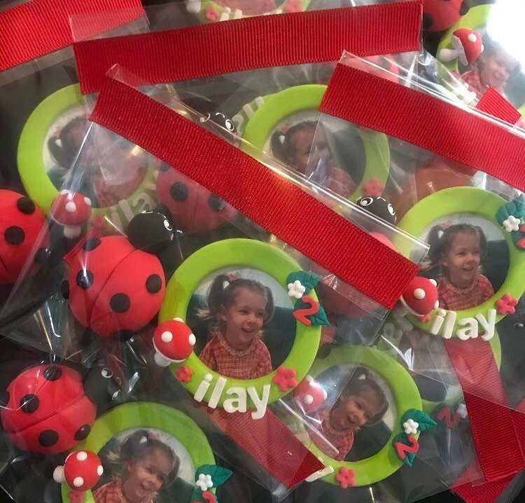 Ladybug Birthday Favors Ladybird Birthday Favors - Etsy