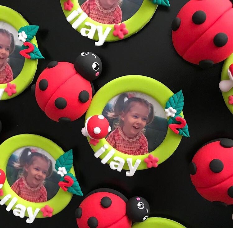 Ladybug Birthday Favors Ladybird Birthday Favors - Etsy
