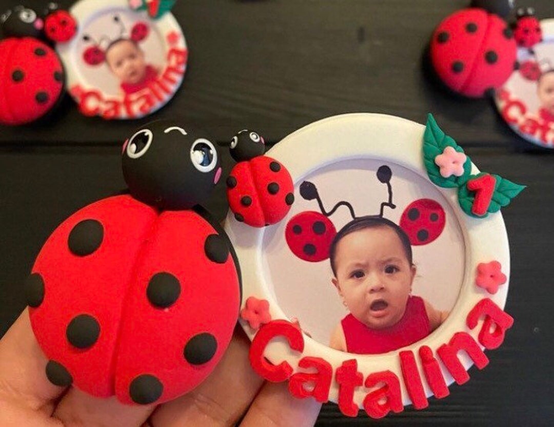 Ladybug Magnets, Ladybug Party Favors, Ladybird Theme Party, Ladybird ...