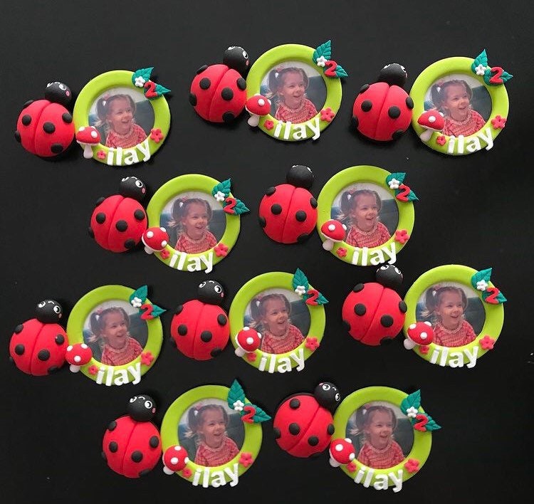Ladybug Birthday Favors Ladybird Birthday Favors - Etsy