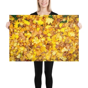Autumn Photography, Fall Colors Print, Fall Photography, Color Photo ...