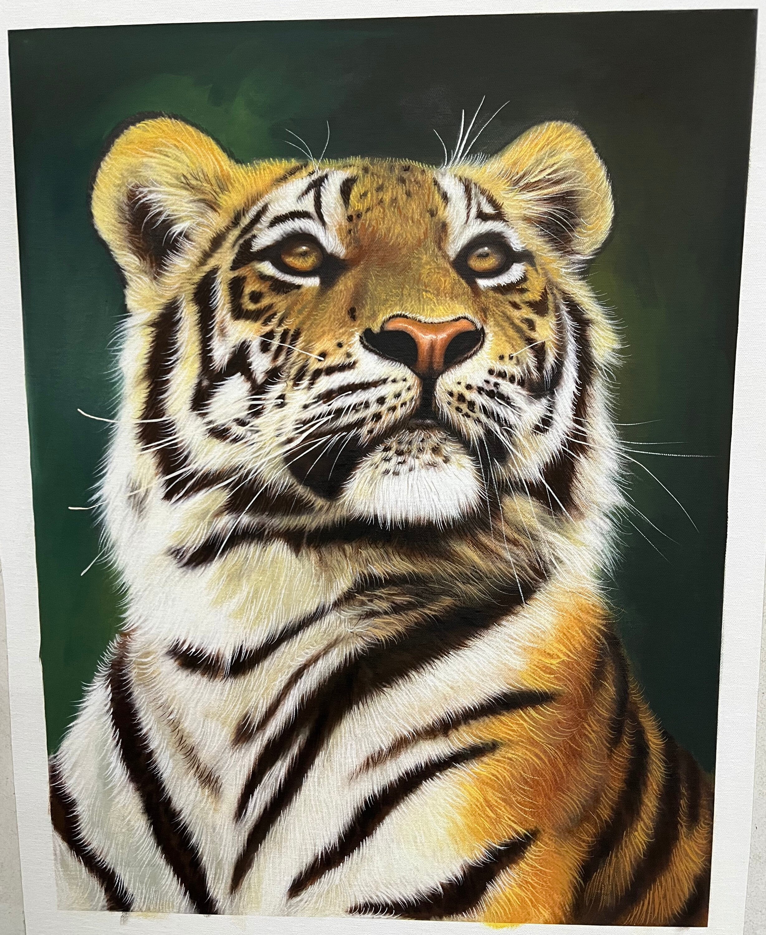 Original Tiger Face Painting on Canvas Using Acrylic Colors in - Etsy