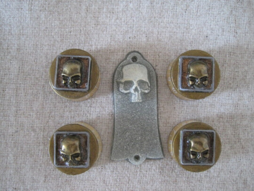 Guitar Custom Ltd Edition. Control Knobs & Truss Covers Custom Framed ...
