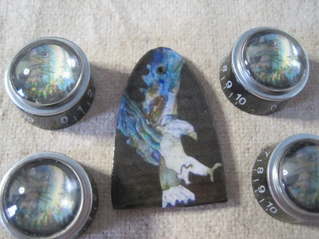 Guitar Custom Ltd Editions. Control Knobs & Truss Cover PRS Style ...