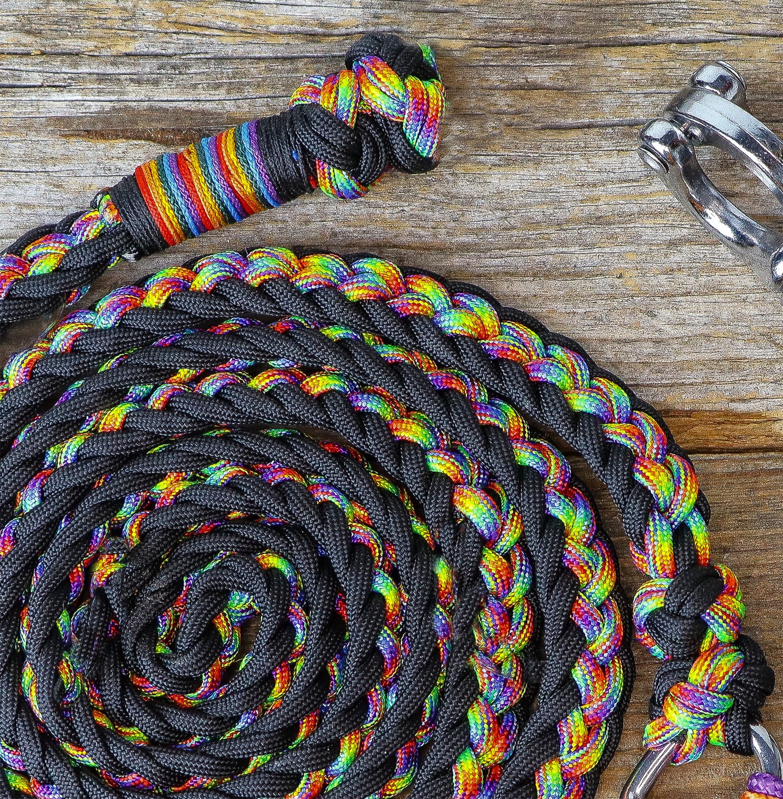Custom Horse Tack W. Name Tag, Personalized Rainbow Lead Rope for Pets ...