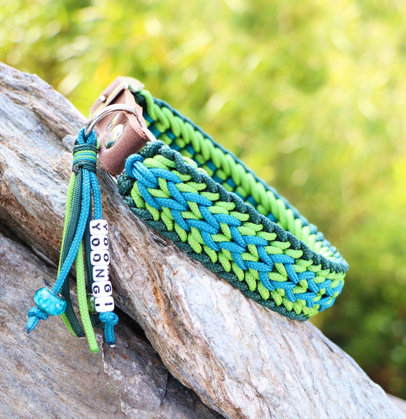Dog Collar and Leash Set With Name Tag, Custom Made, Waterproof, With ...
