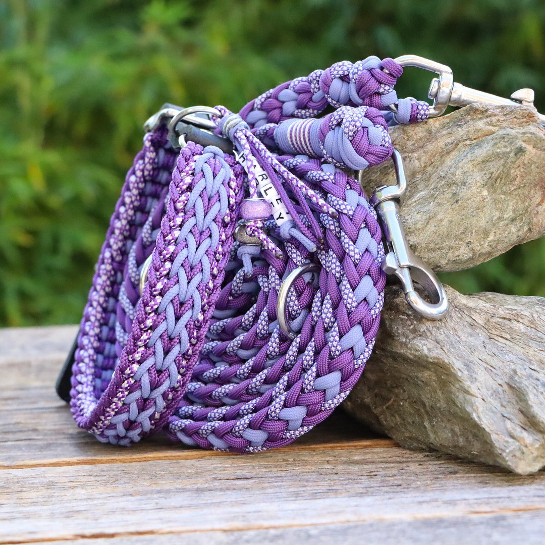 Dog Collar and Leash Set, With Name Tag, for Small and Large Dogs ...