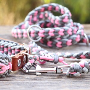 Dog Collar and Leash Set, With Name Tag, for Small and Large Dogs ...