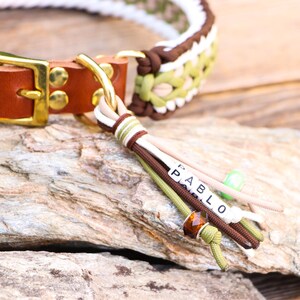Personalized Dog Collar With Name Tag, Handmade From Gen. Paracord ...