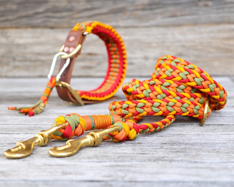 Boho Dog Collar & Leash Set, With Name Tag, Custom Made, Waterproof ...