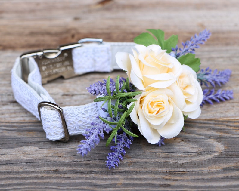 Wedding dog collar with rose application and romantic lace | Etsy
